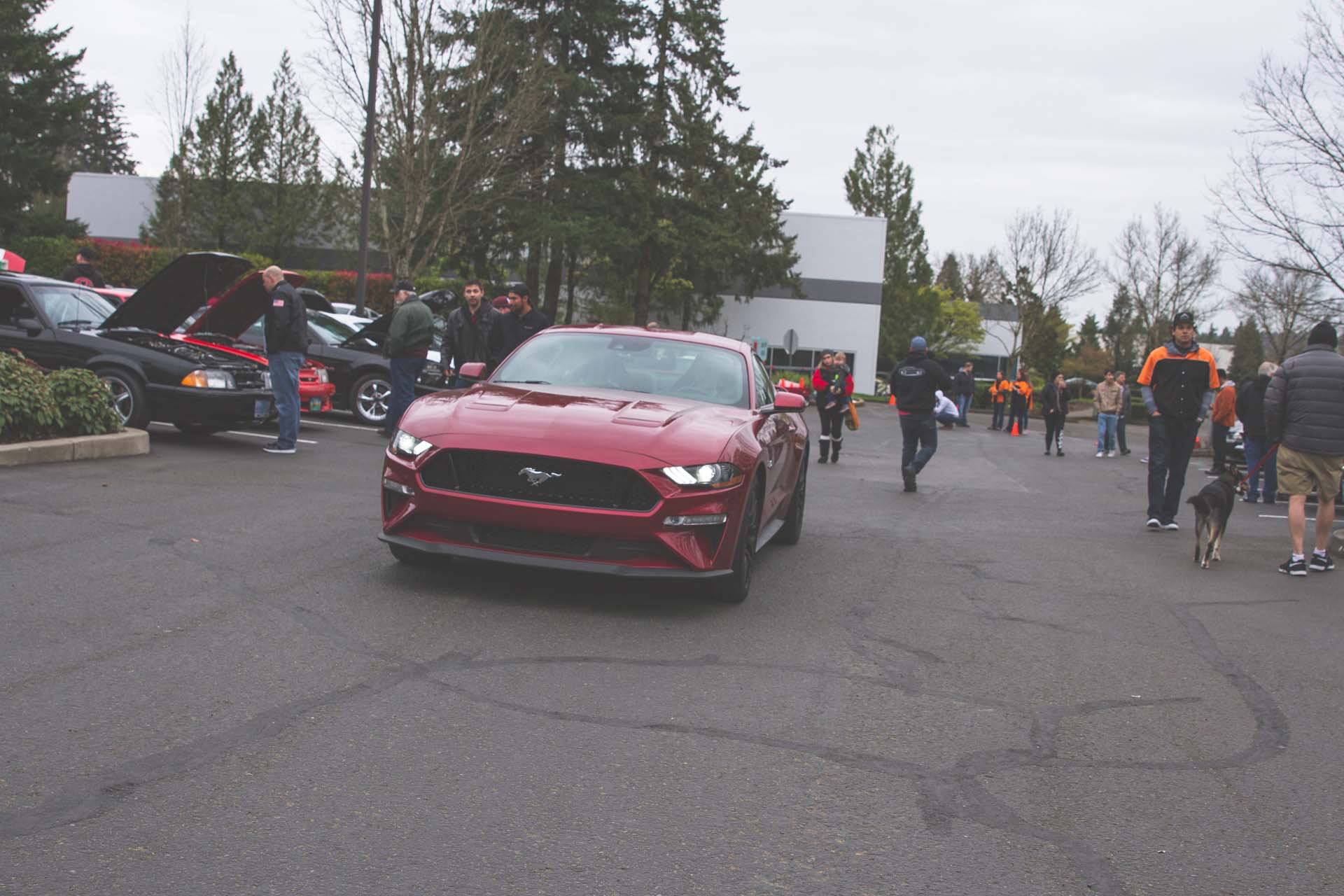 At Portland’s Cars & Coffee, the Ford Mustang still means America