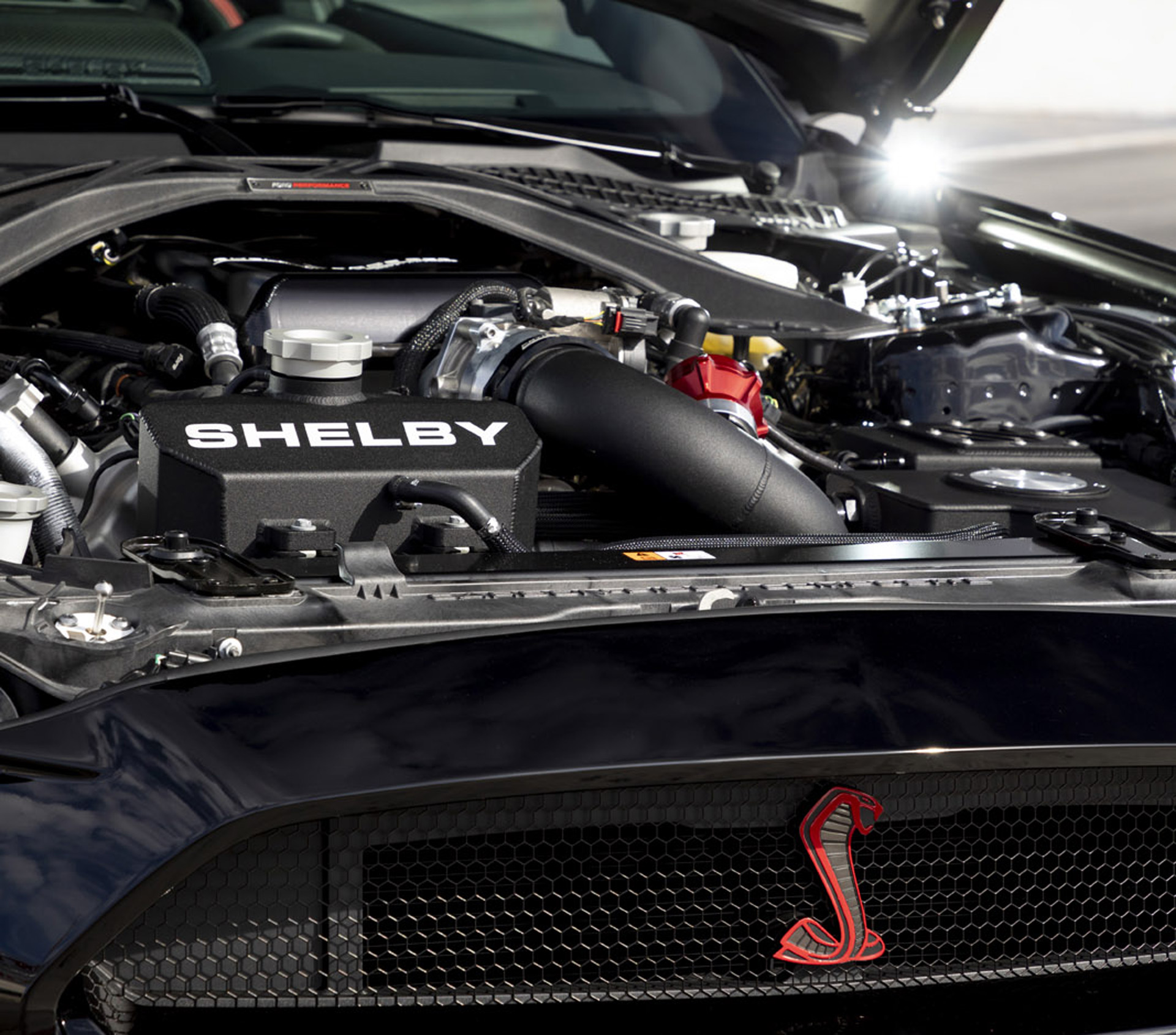 Ford Mustang Shelby GT500 Code Red is a 1,300-hp straight-line weapon ...