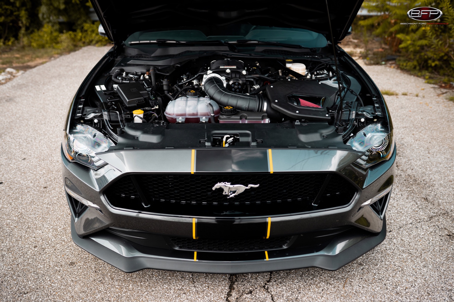 Ohio dealership selling 750-hp supercharged 2020 Ford Mustang GTs for ...