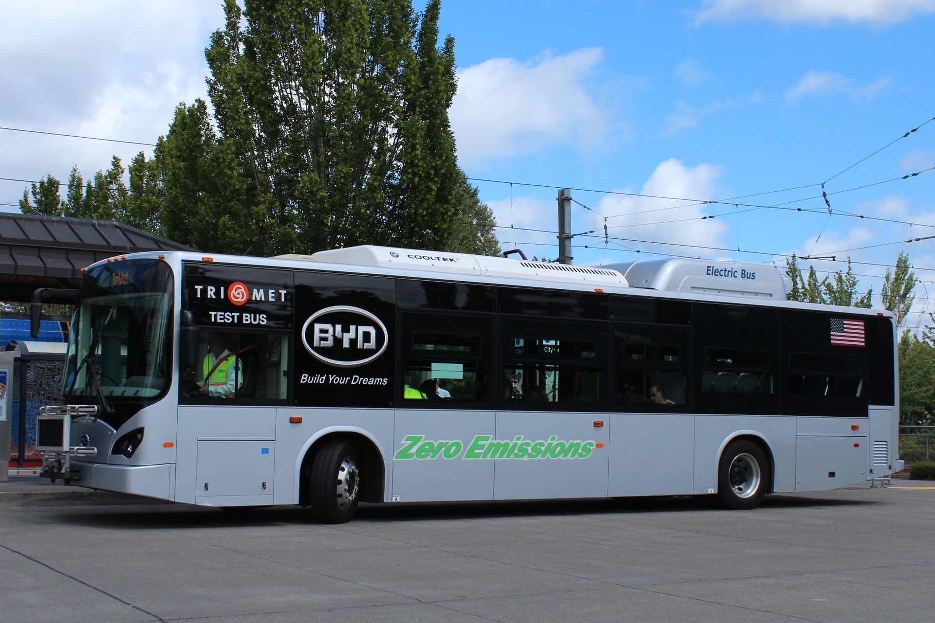 BYD's Rising Electric-Car Sales Swamped By Falling Gas Models