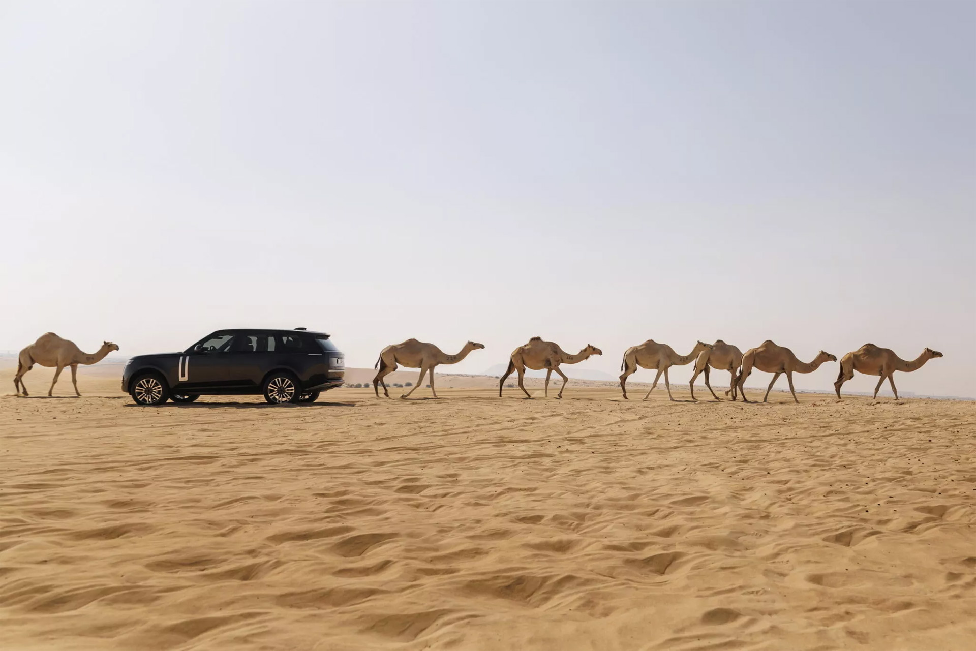 Electric Range Rover now undergoing hot-weather testing